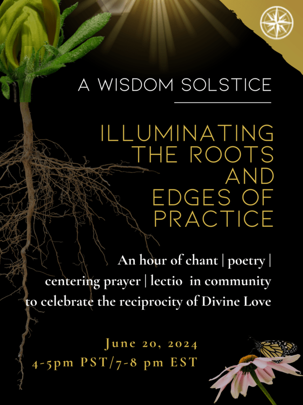A Wisdom Solstice Pause 2024 - Wisdom Waypoints