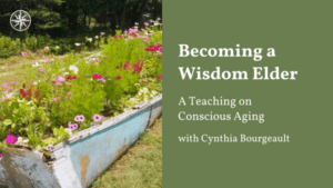 Becoming a Wisdom Elder: A Teaching on Conscious Aging - Wisdom Waypoints