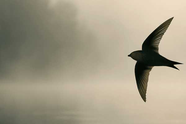 Blog - Wisdom Waypoints